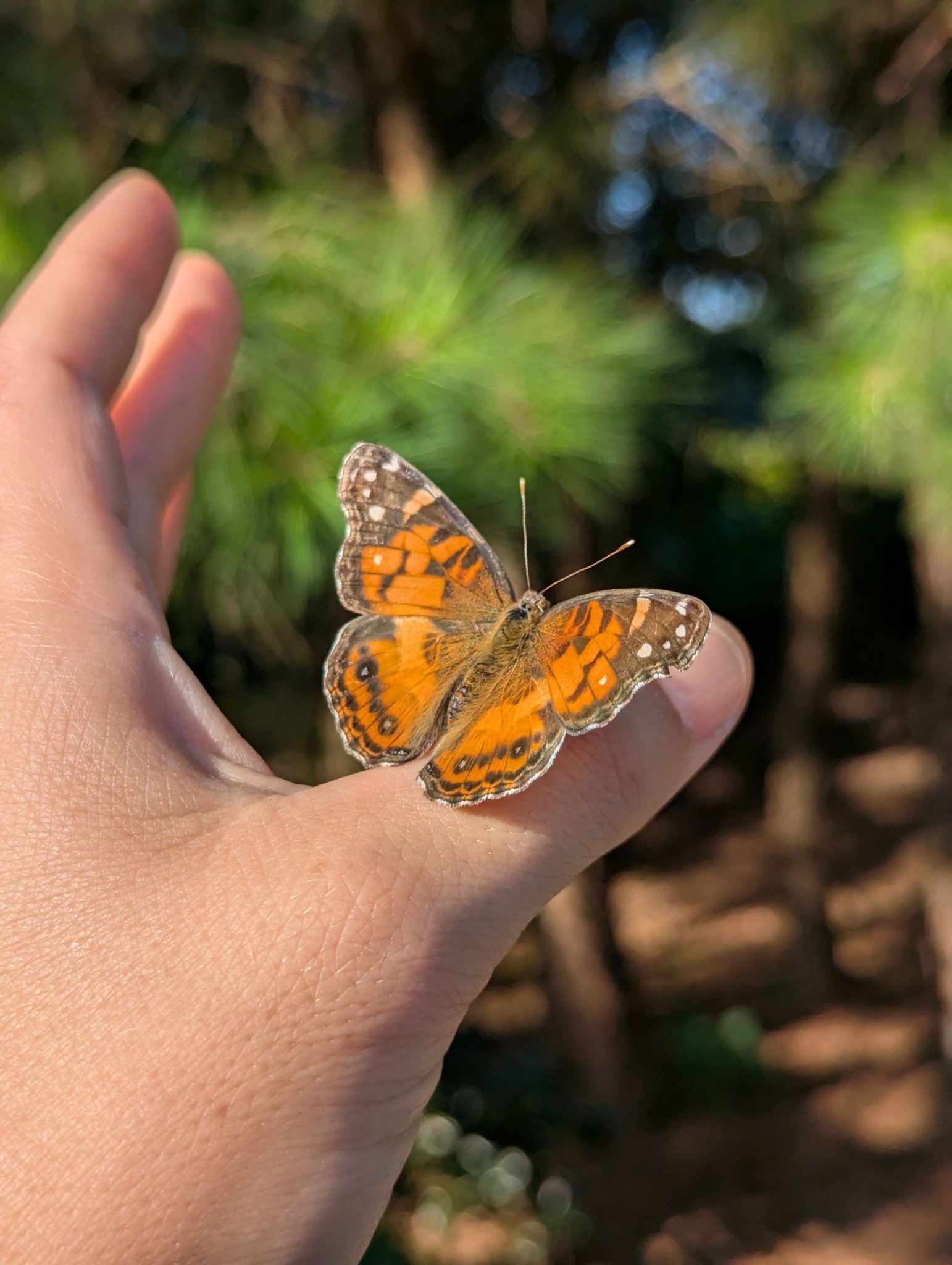 iNaturalist Bioblitz | Visit Southern Delaware