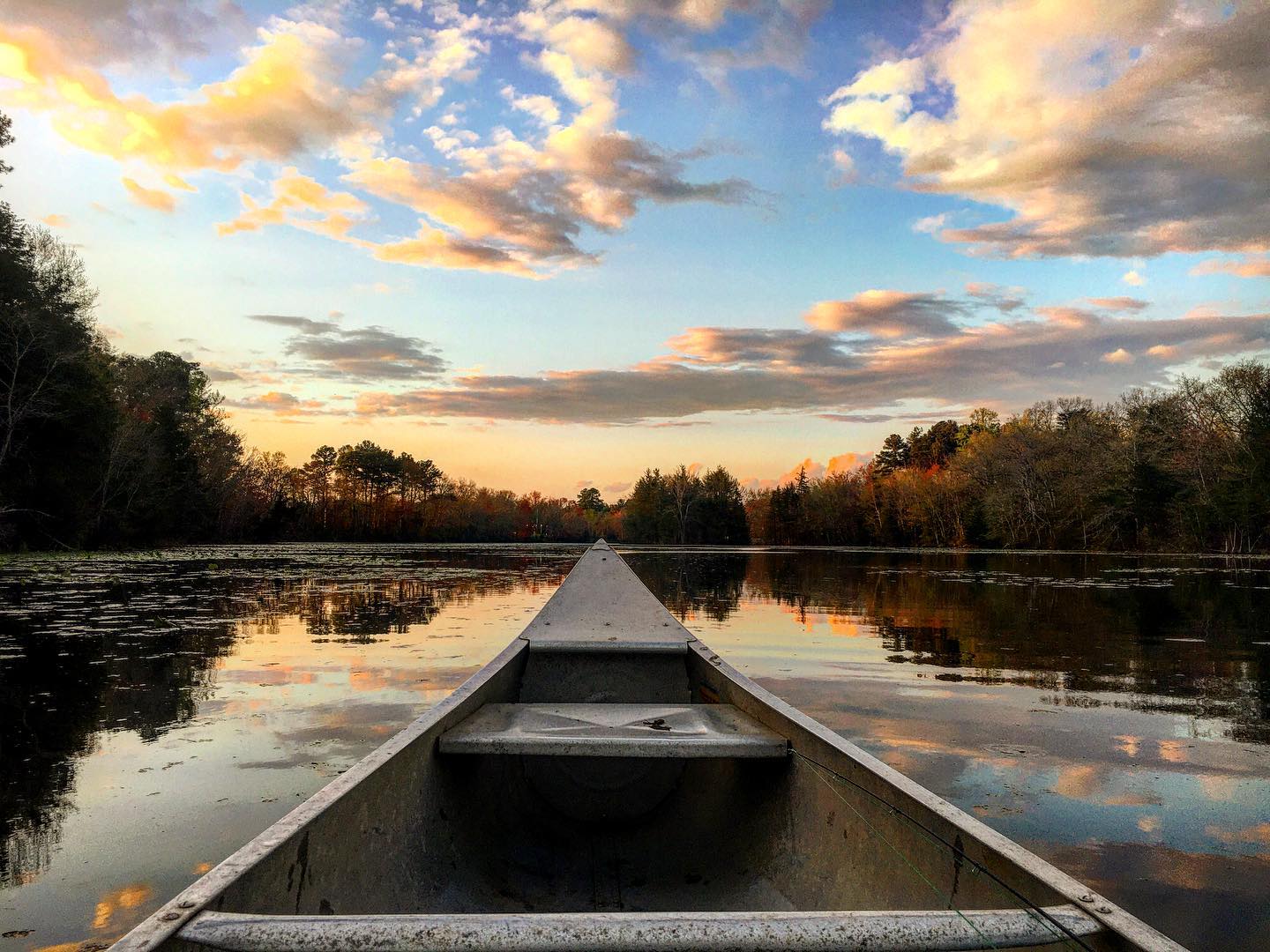 Mispillion River Watershed Canoe Series | Visit Southern Delaware