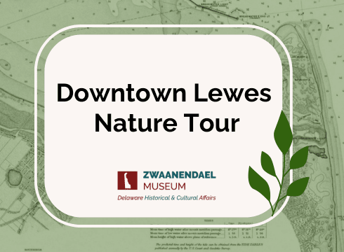 Downtown Lewes Nature Tour | Visit Southern Delaware