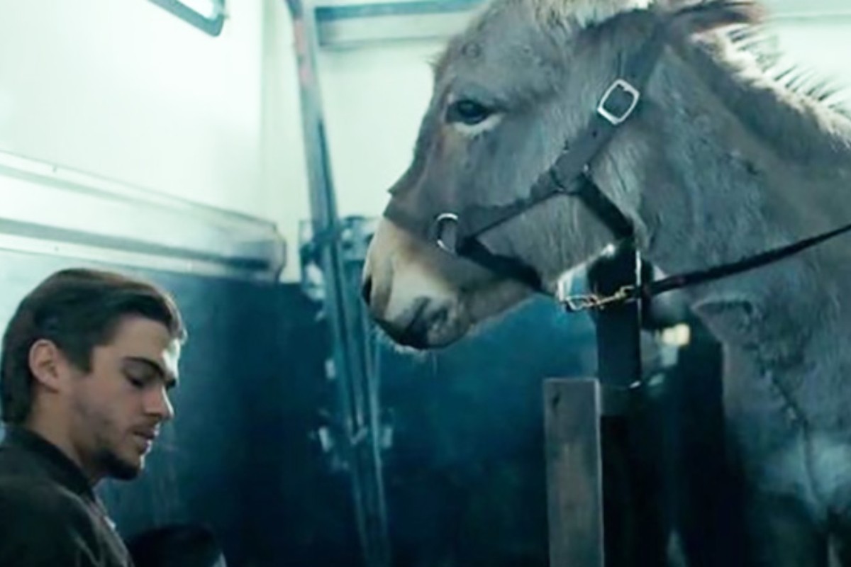 EO | Visit Southern Delaware