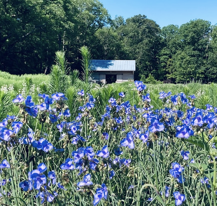 DBG OPENS 2025 SEASON MARCH 13th | Visit Southern Delaware