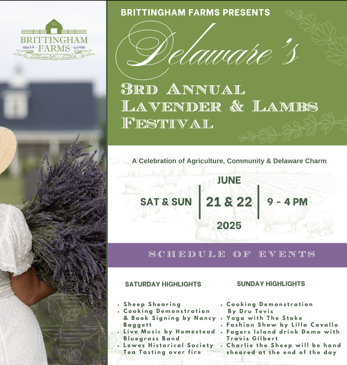 Lavender & Lambs Festival