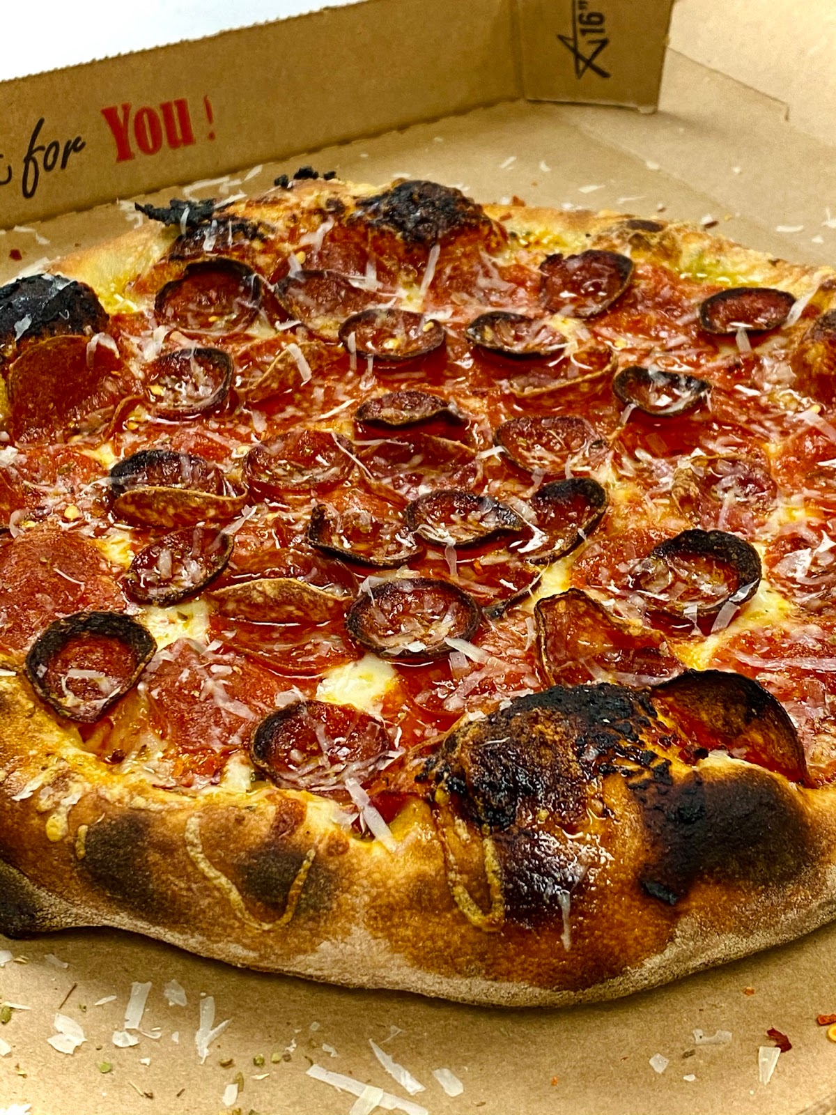 Dalmata | Visit Southern Delaware