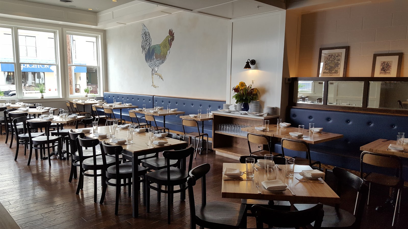 The Blue Hen | Visit Southern Delaware