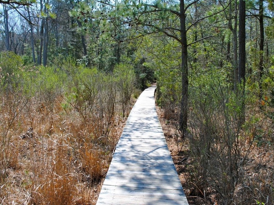 James Farm Ecological Preserve OnSite James Farm Ecological Preserve OnSite