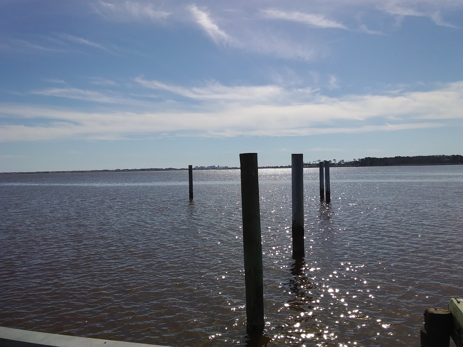 Assawoman Wildlife Area | Visit Southern Delaware